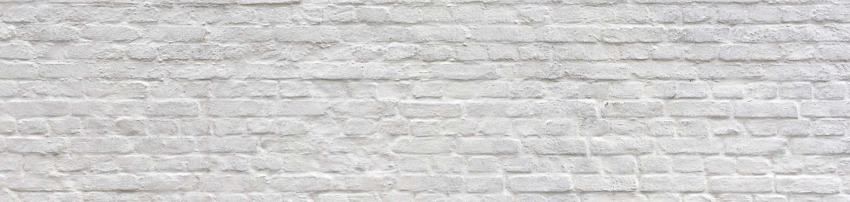 Basement smells musty or has a mildew odor - The Basement Doctor